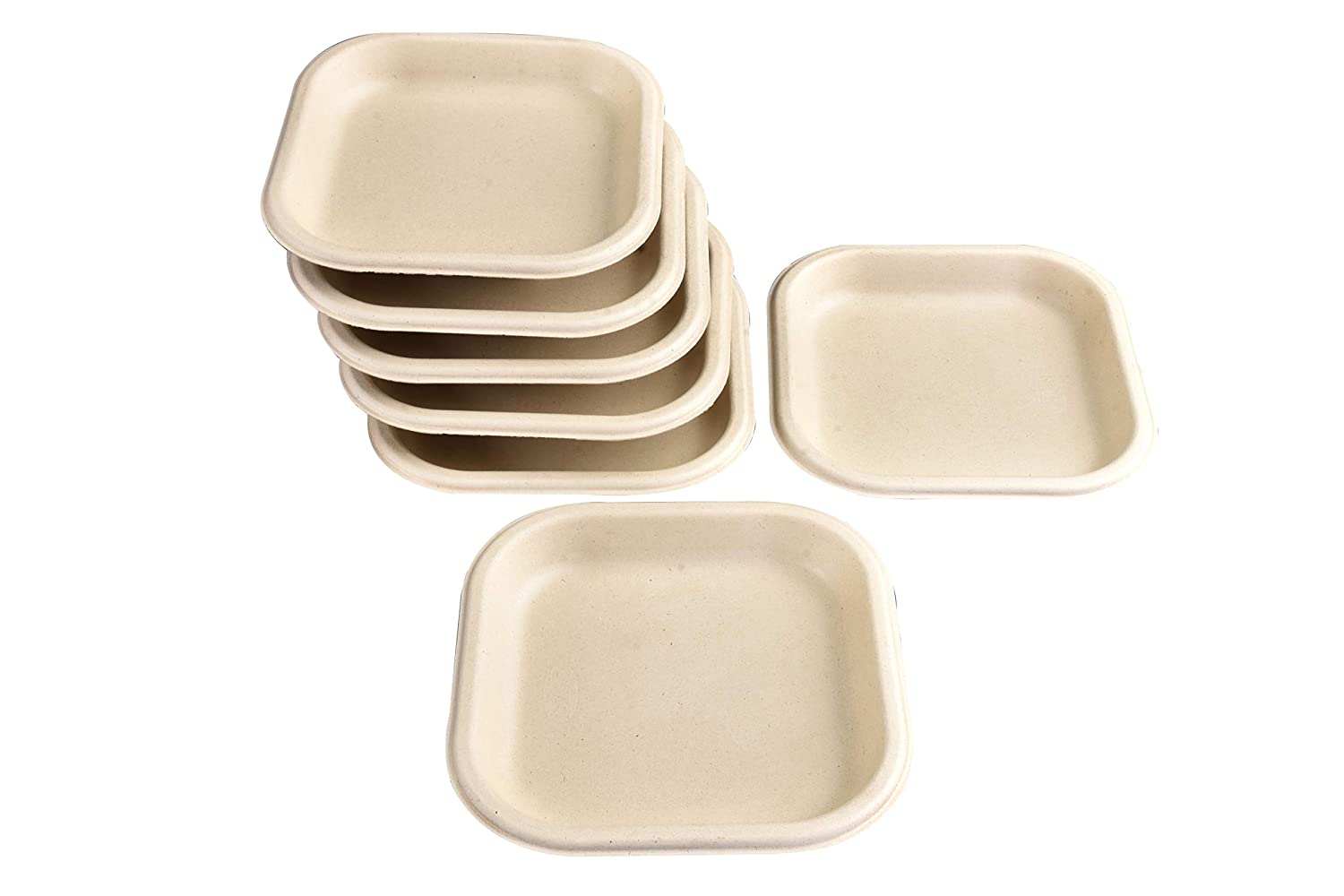 Chuk BioDegradable Disposable and Eco-Friendly Snack Plate (7 Inch ...