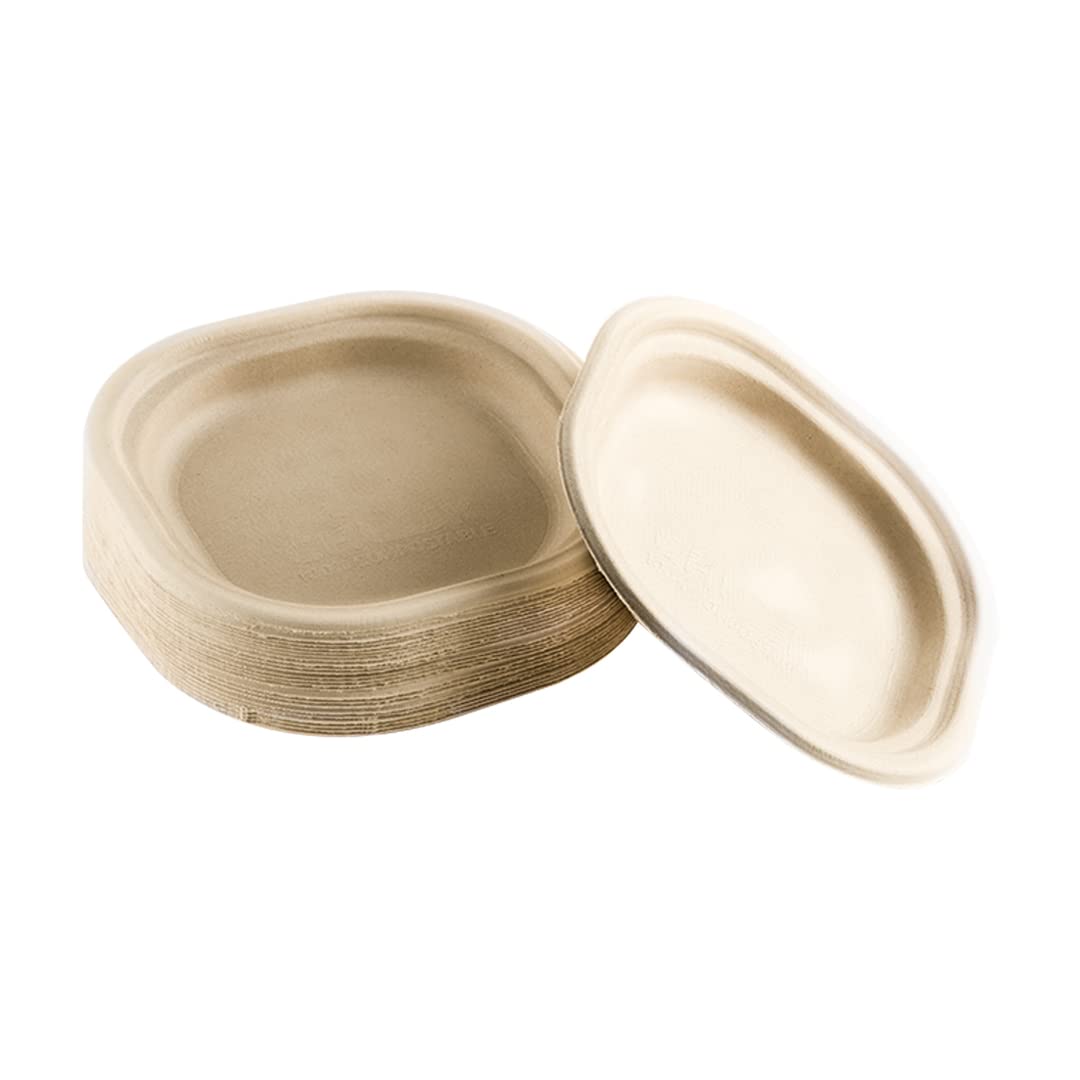 Chuk BioDegradable Disposable and Eco-Friendly Meal Plate (6 Inch ...